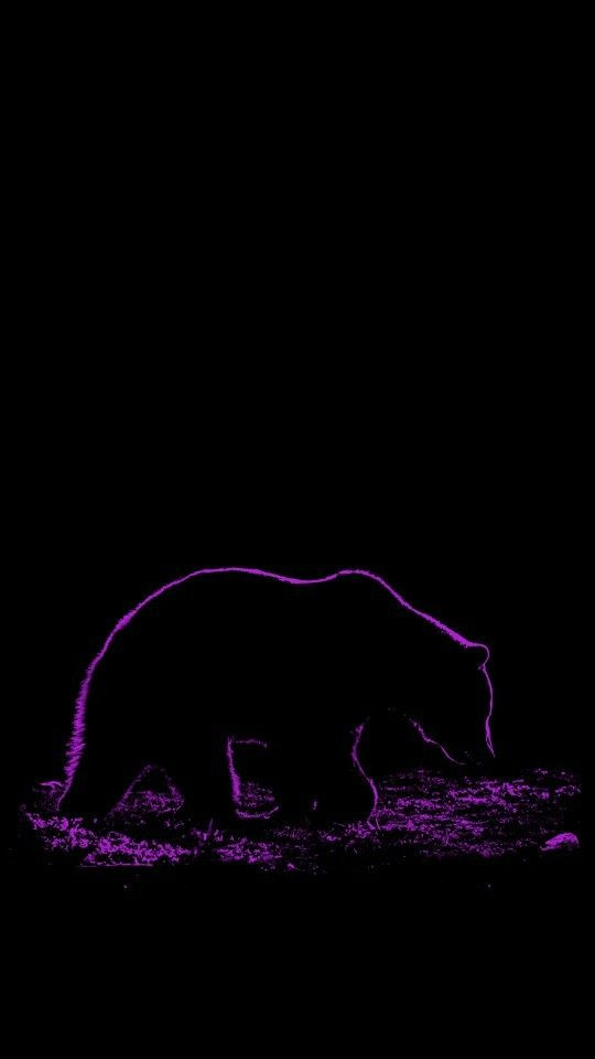 🔥 [50+] Purple Bear Wallpapers | WallpaperSafari