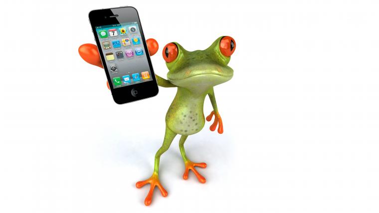 🔥 [50+] Free Frog Wallpapers and Screensavers | WallpaperSafari