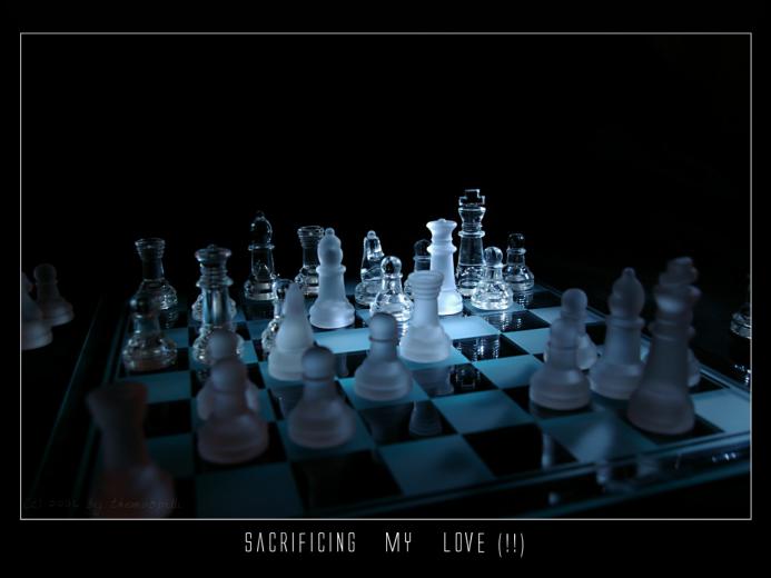 Free download Chess Photography Wallpaper 2560x1600 Chess Photography ...