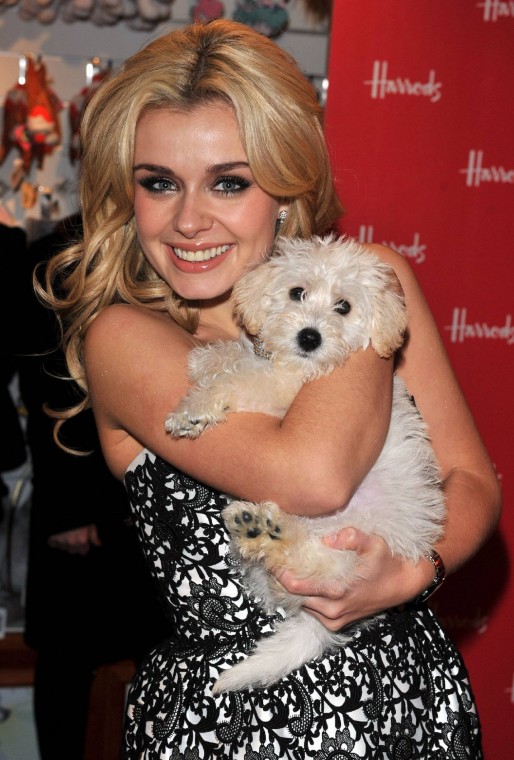 🔥 Free Download Katherine Jenkins Wallpaper by @ryantucker ...