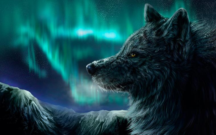 Free download Really Cool Wolf Backgrounds Images amp Pictures Becuo ...