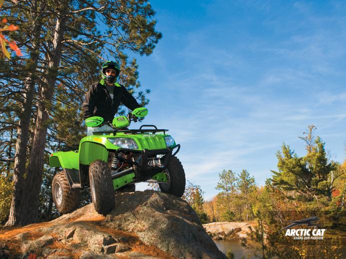 🔥 [40+] Arctic Cat Wallpapers | WallpaperSafari