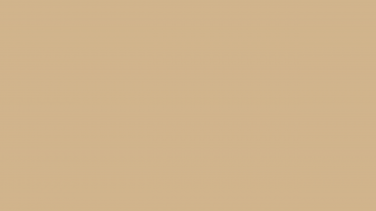 🔥 Free Download Tan Wallpaper by @cindyw26 | WallpaperSafari