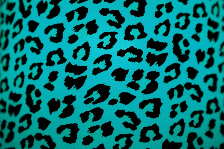 🔥 Free Download Leopard Print Wallpaper Hd by @jmorris78 | WallpaperSafari