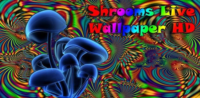 🔥 Free Download Wallpaper For Shroom Trip by @jknapp71 | WallpaperSafari