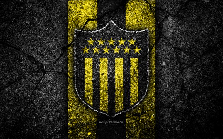 🔥 [30+] Penarol Wallpapers | WallpaperSafari