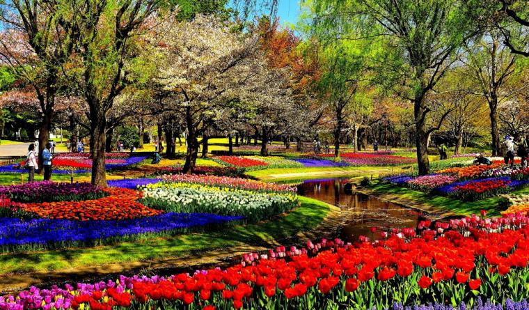 🔥 [140+] Free Microsoft Spring Wallpapers | WallpaperSafari