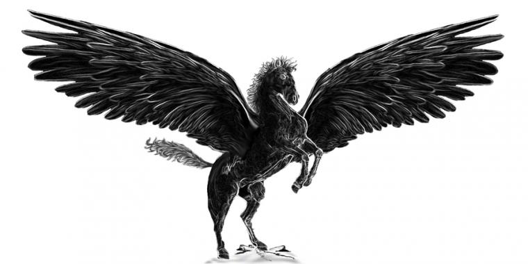 🔥 [50+] Black Pegasus Wallpapers | WallpaperSafari