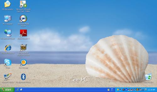 🔥 [50+] Seashell Wallpapers for Computer | WallpaperSafari