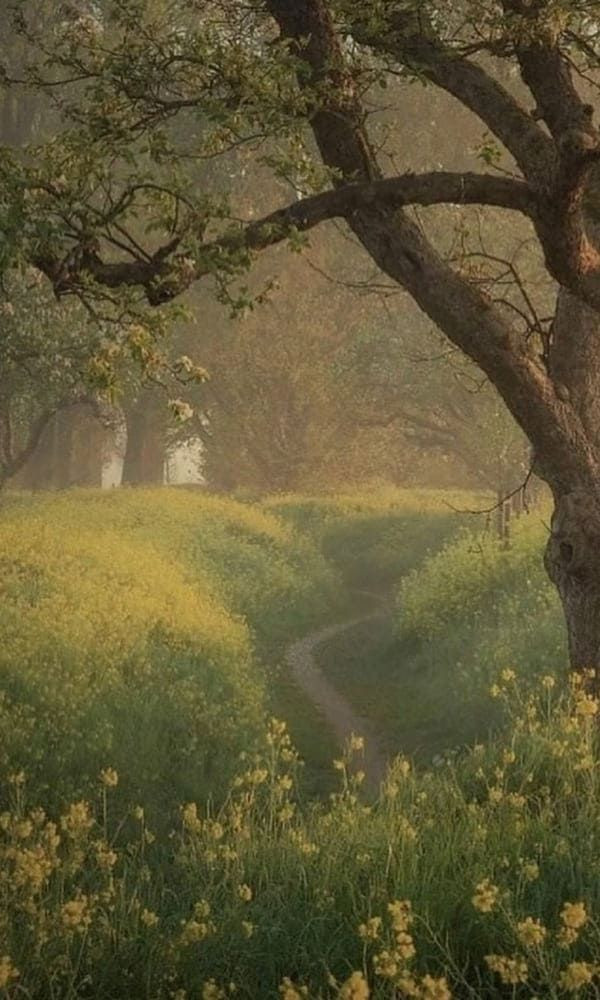 🔥 Free Download Cottagecore Aesthetic Wallpaper Options For A Dreamy ...