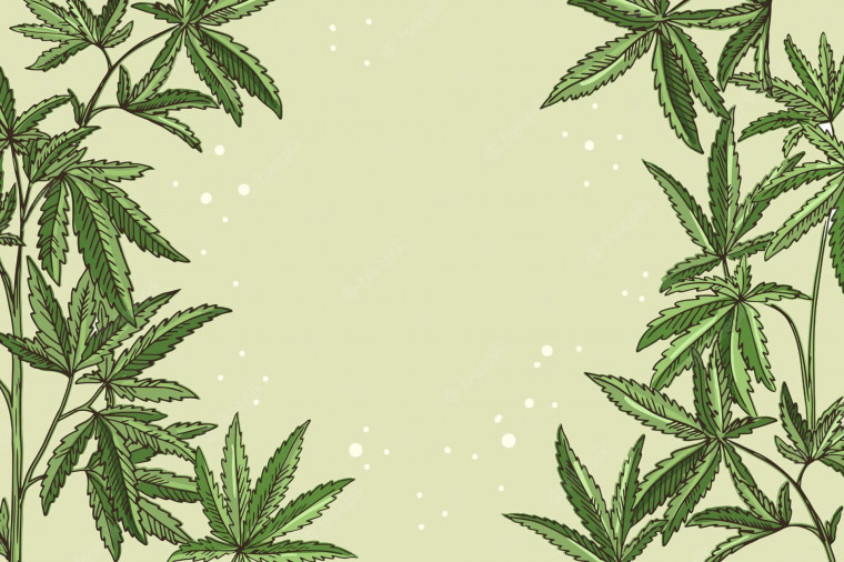 🔥 [20+] Marijuana Leaves Wallpapers | WallpaperSafari
