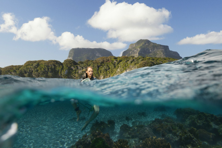 🔥 Free Download Blake Lively Nancy Movie The Shallows Hd Wallpaper by ...