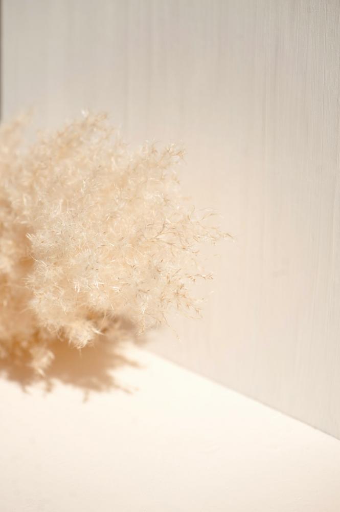 🔥 Free Download Abstract Beige Wallpaper Background Image by @plopez87 ...