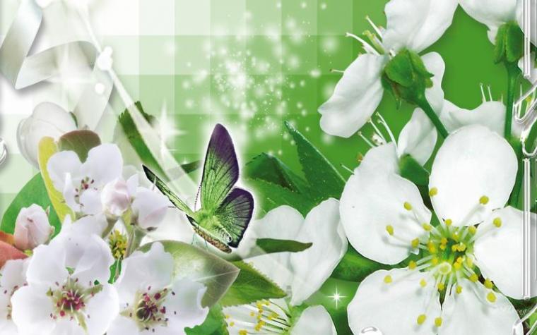 🔥 [50+] Apple Blossom Wallpapers Screensavers | WallpaperSafari