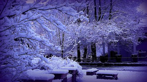 🔥 [30+] Purple Winter Wallpapers | WallpaperSafari