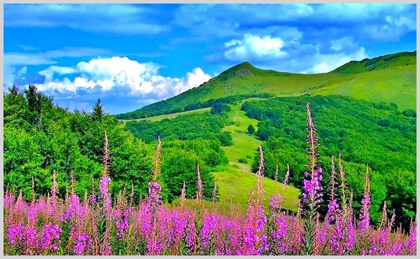 🔥 [50+] Spring Wallpapers High-Res | WallpaperSafari