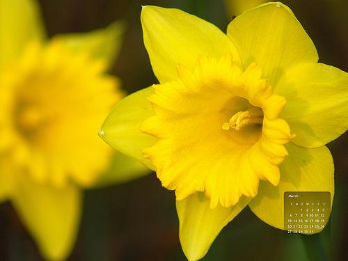 🔥 [50+] Think Spring Desktop Wallpapers | WallpaperSafari