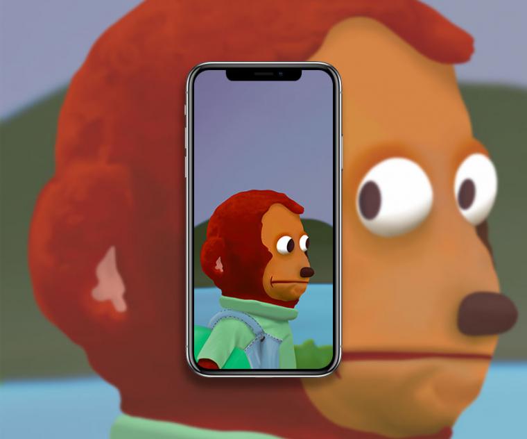 🔥 [40+] Monkey Meme Wallpapers | WallpaperSafari