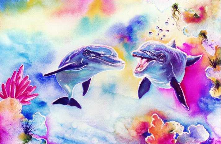 🔥 [40+] Colorful Dolphin Wallpapers | WallpaperSafari