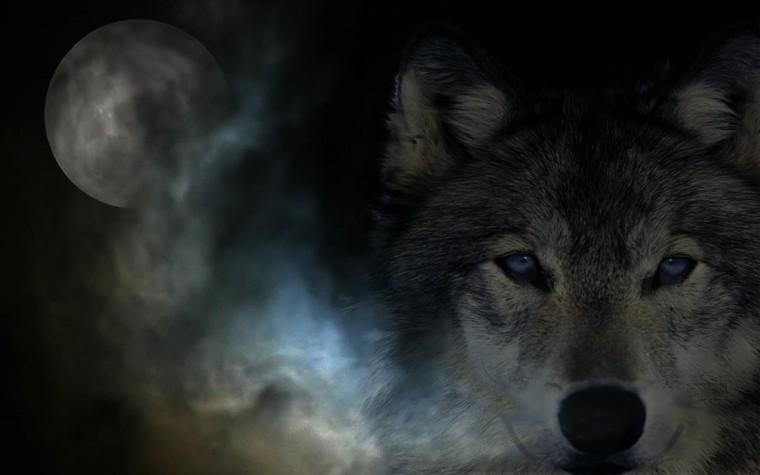 🔥 [70+] Fantasy Wolf Wallpapers | WallpaperSafari