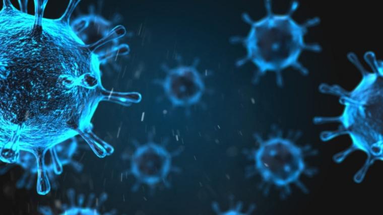 🔥 [30+] CDC Backgrounds | WallpaperSafari