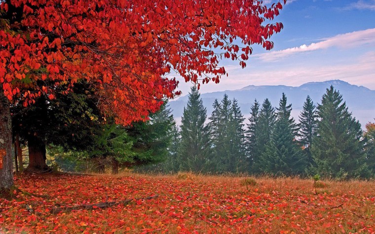 🔥 [70+] Windows Landscape Wallpapers | WallpaperSafari