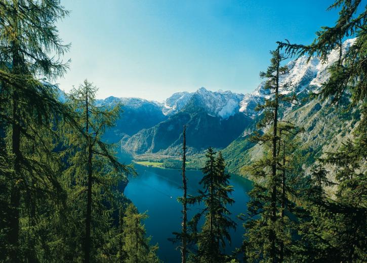 🔥 [50+] Wallpapers Originals Free Computer Wallpapers | WallpaperSafari