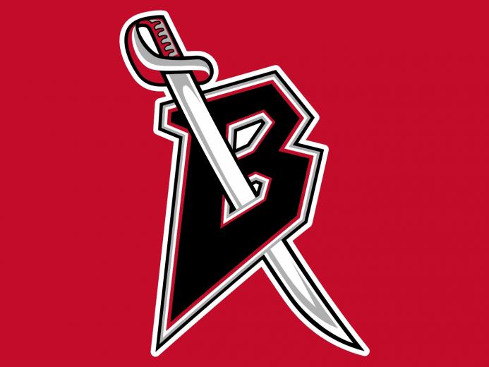 Free download sabres fvrier photoplog Wallpaper ForWallpapercom ...