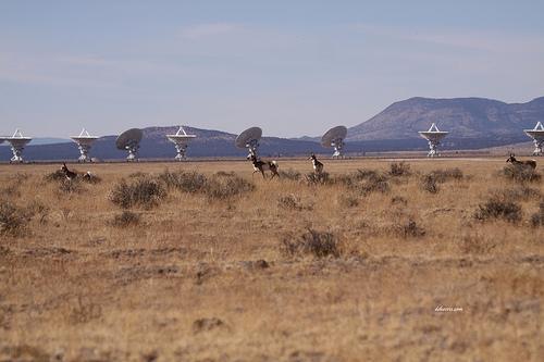 🔥 [50+] Very Large Array Wallpapers | WallpaperSafari