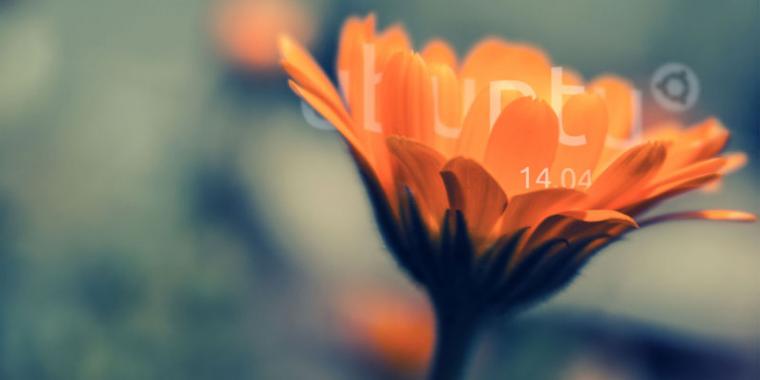 🔥 [50+] Ubuntu 14.04 Default Wallpapers | WallpaperSafari