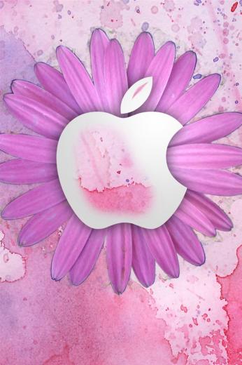 🔥 [50+] Apple iPhone Flower Wallpapers | WallpaperSafari
