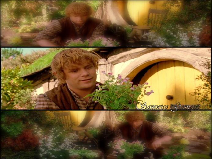 🔥 Free Download Samwise The Brave Nine Walkers Wallpaper by @jedwards | WallpaperSafari