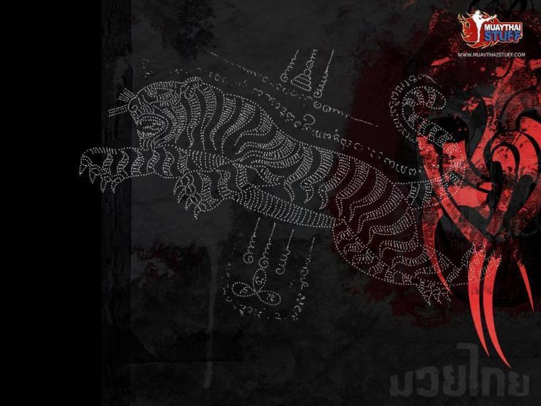 🔥 [140+] Muay Thai Wallpapers HD | WallpaperSafari
