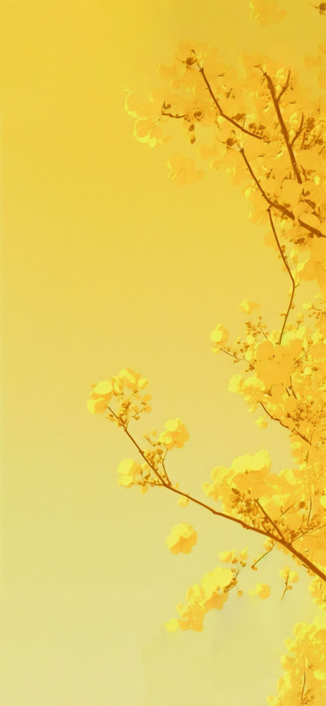 🔥 [40+] Aesthetic Spring Yellow Wallpapers | WallpaperSafari
