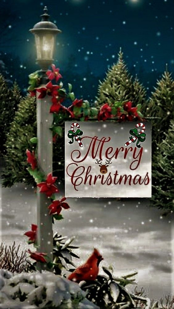🔥 [30+] Merry Christmas Signs Wallpapers | WallpaperSafari