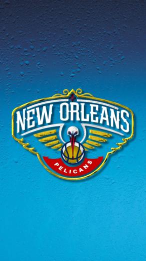 🔥 [40+] Pelicans Wallpapers | WallpaperSafari