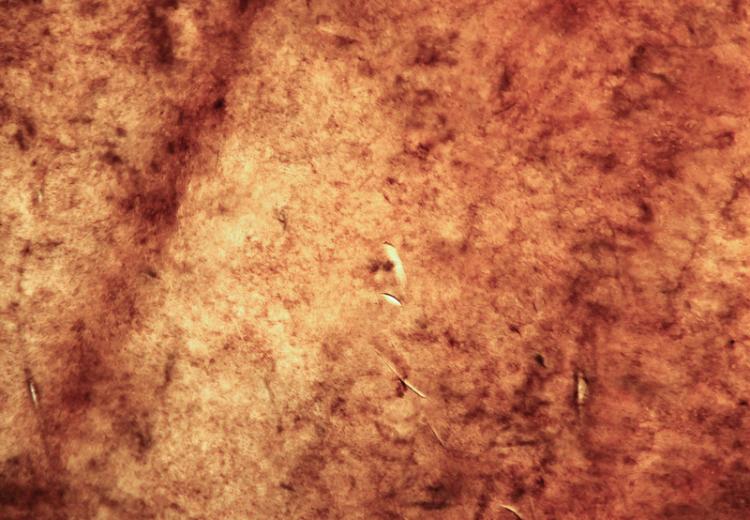 🔥 [50+] Granite Wallpapers for Countertops | WallpaperSafari