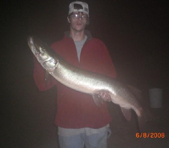 🔥 [50+] Musky Desktop Wallpapers | WallpaperSafari