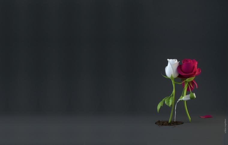 🔥 [60+] SAP Wallpapers | WallpaperSafari