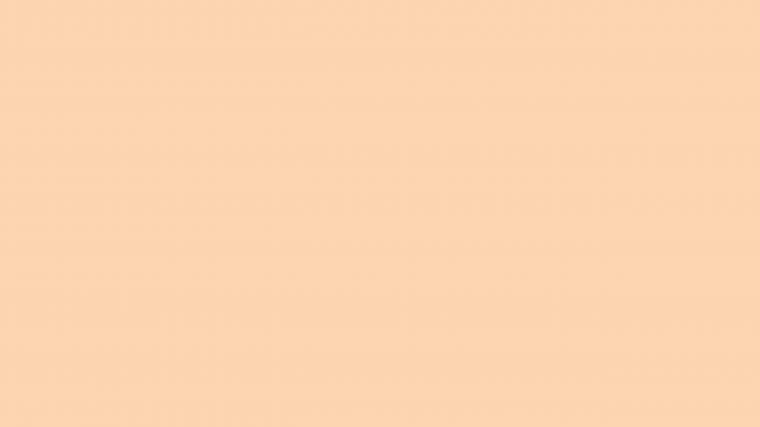🔥 [40+] Apricot Backgrounds | WallpaperSafari