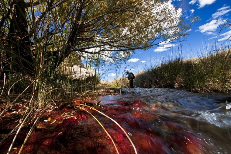 🔥 [40+] Wallpapers of Fishing Streams | WallpaperSafari