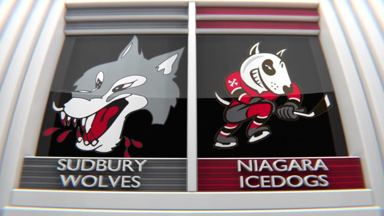 🔥 [30+] Niagara Ice Dog Logos Wallpapers | WallpaperSafari