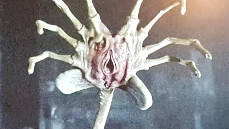 🔥 Free Download Facehugger From Aliens V Predator On Pause Um Wait What ...