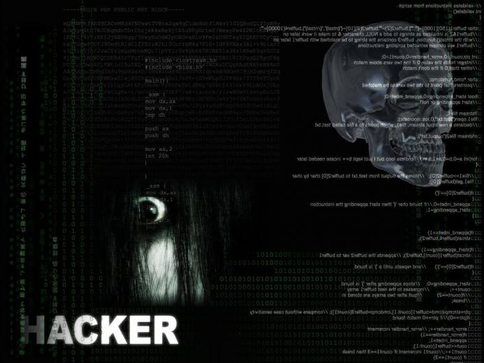 🔥 Free Download Hack Local Network Pc Using Windows Theam File Hacking ...