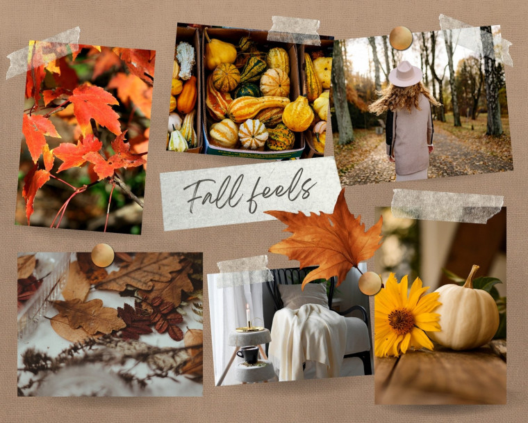 🔥 [40+] Thanksgiving Collage Wallpapers | WallpaperSafari