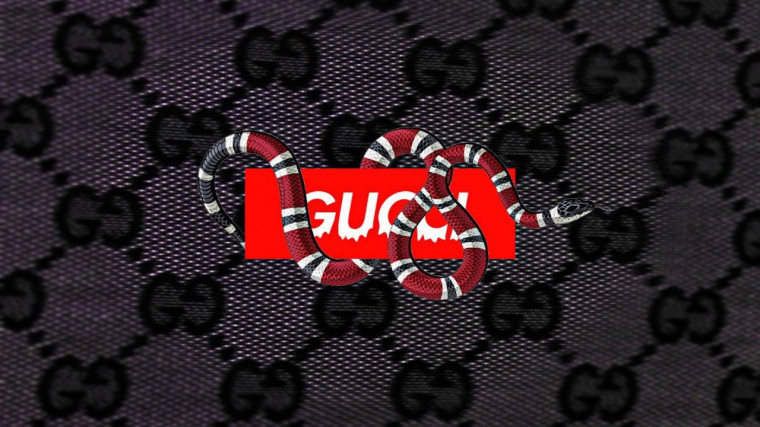 🔥 [30+] Gucci 4k Wallpapers | WallpaperSafari