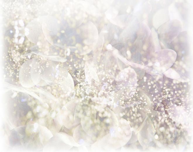 🔥 [20+] Bride Backgrounds | WallpaperSafari