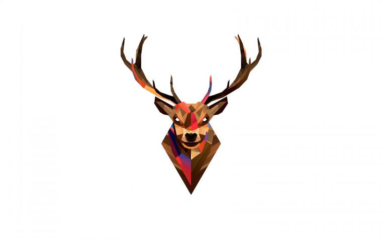 🔥 [50+] Justin Maller HD Wallpapers Animal | WallpaperSafari