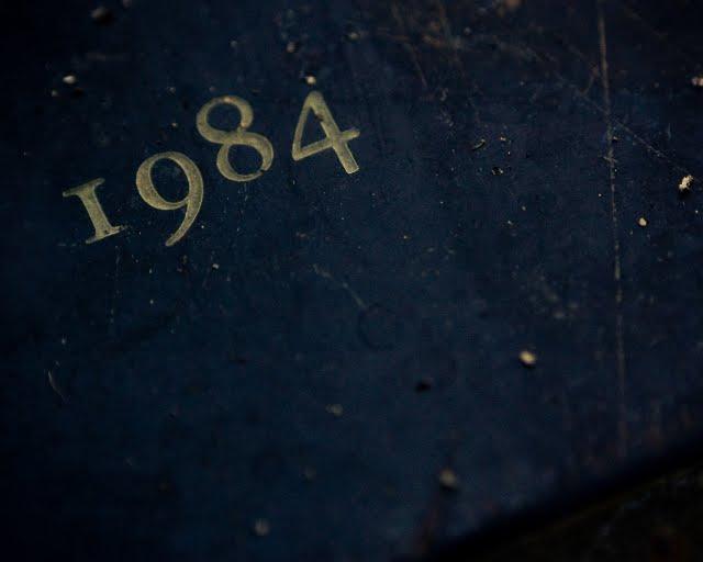 🔥 [50+] Pixelgirl Presents Wallpapers | WallpaperSafari