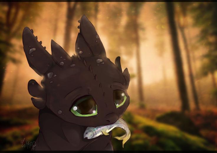 🔥 [50+] Cute Toothless Wallpapers | WallpaperSafari